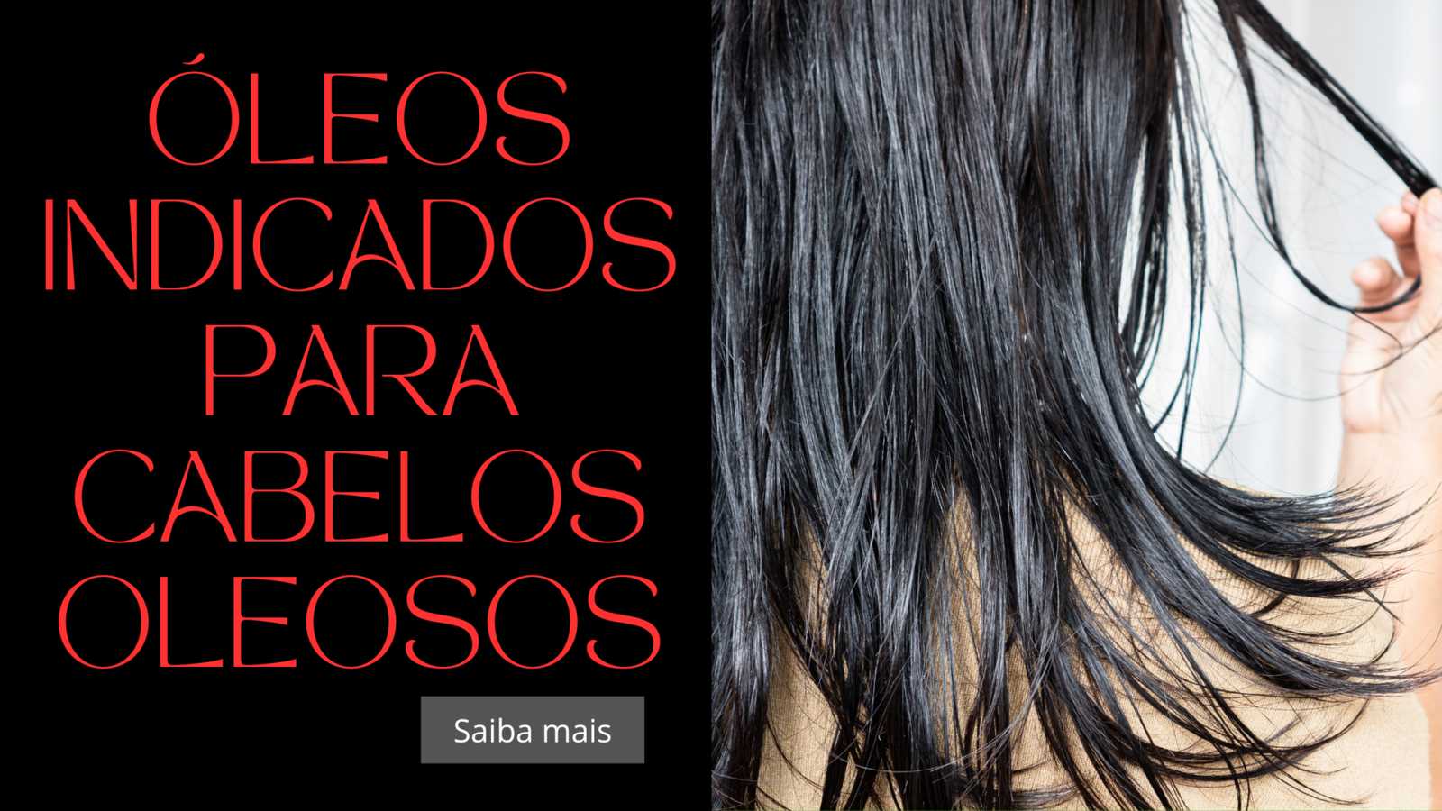 → Umectação para Cabelos Oleosos – Óleos para cabelos oleosos - Portal ...